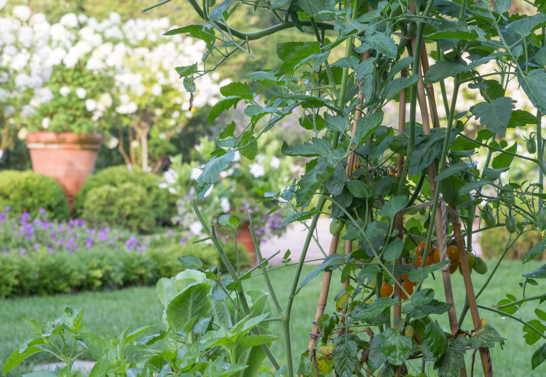 A Guide to Making Your Home a Farm-to-Table Paradise - Cottages & Gardens