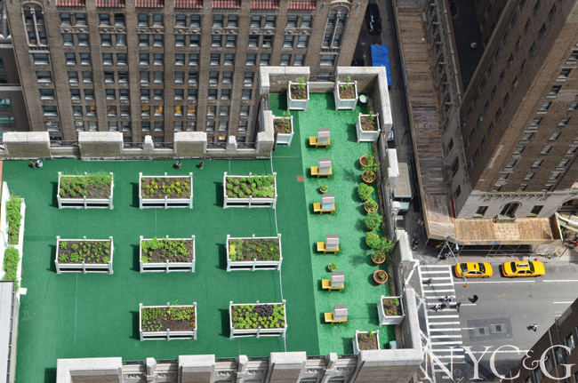 David Garcelon, Culinary Director at the Waldorf Astoria Tells NYC&G ...